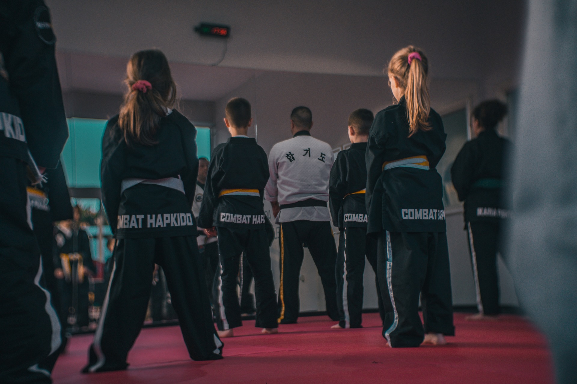 Βίντεο - φωτογραφίες :: COMBAT HAPKIDO TRAINING